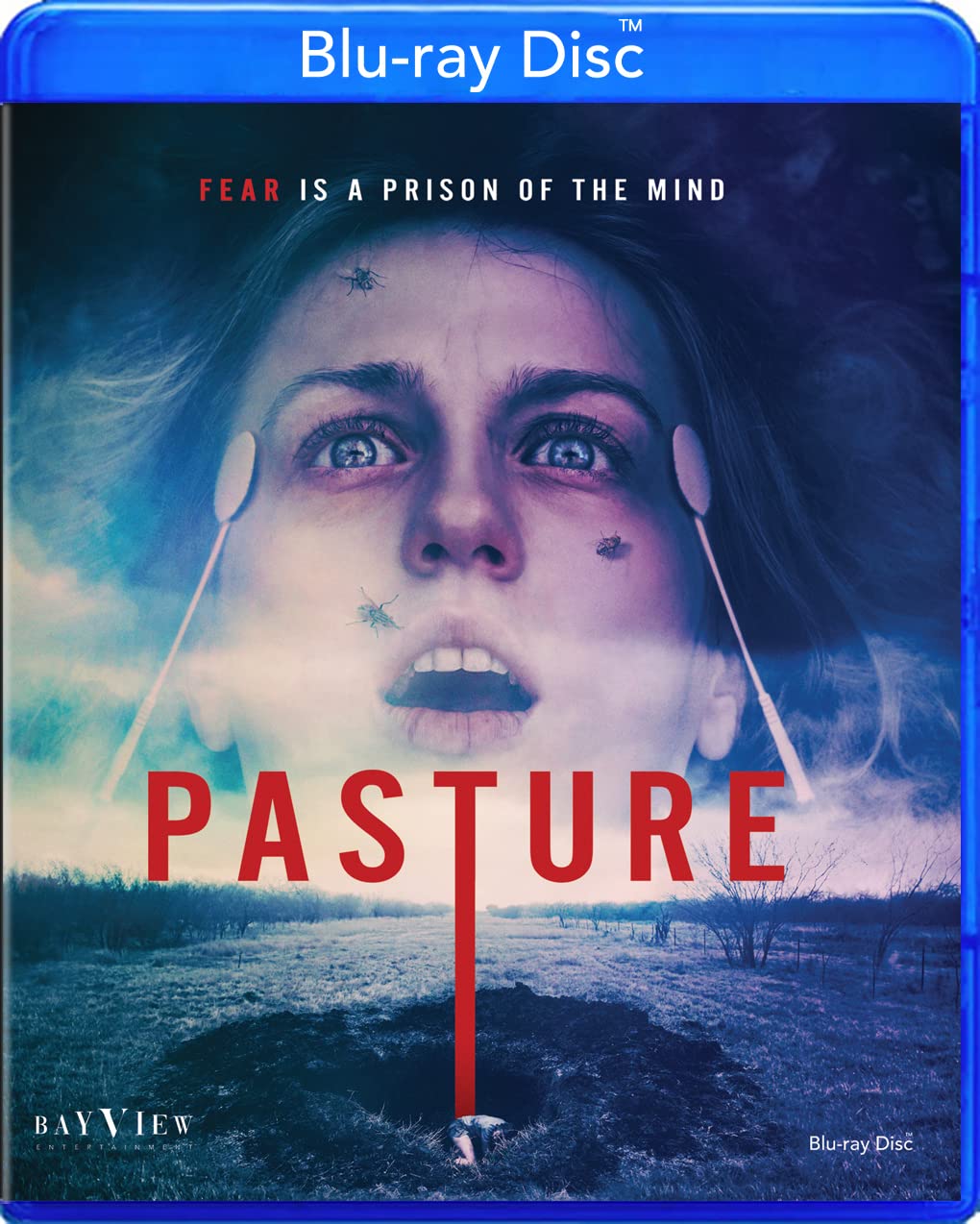 Amazon.com: Pasture : Abigail Rose, Sarah J. Bartholomew, Brian Kelly ...