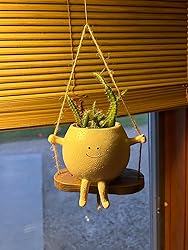 Amazon.com: CEOJPA Small Swing Smiley Face Hanging Planter Pot for ...