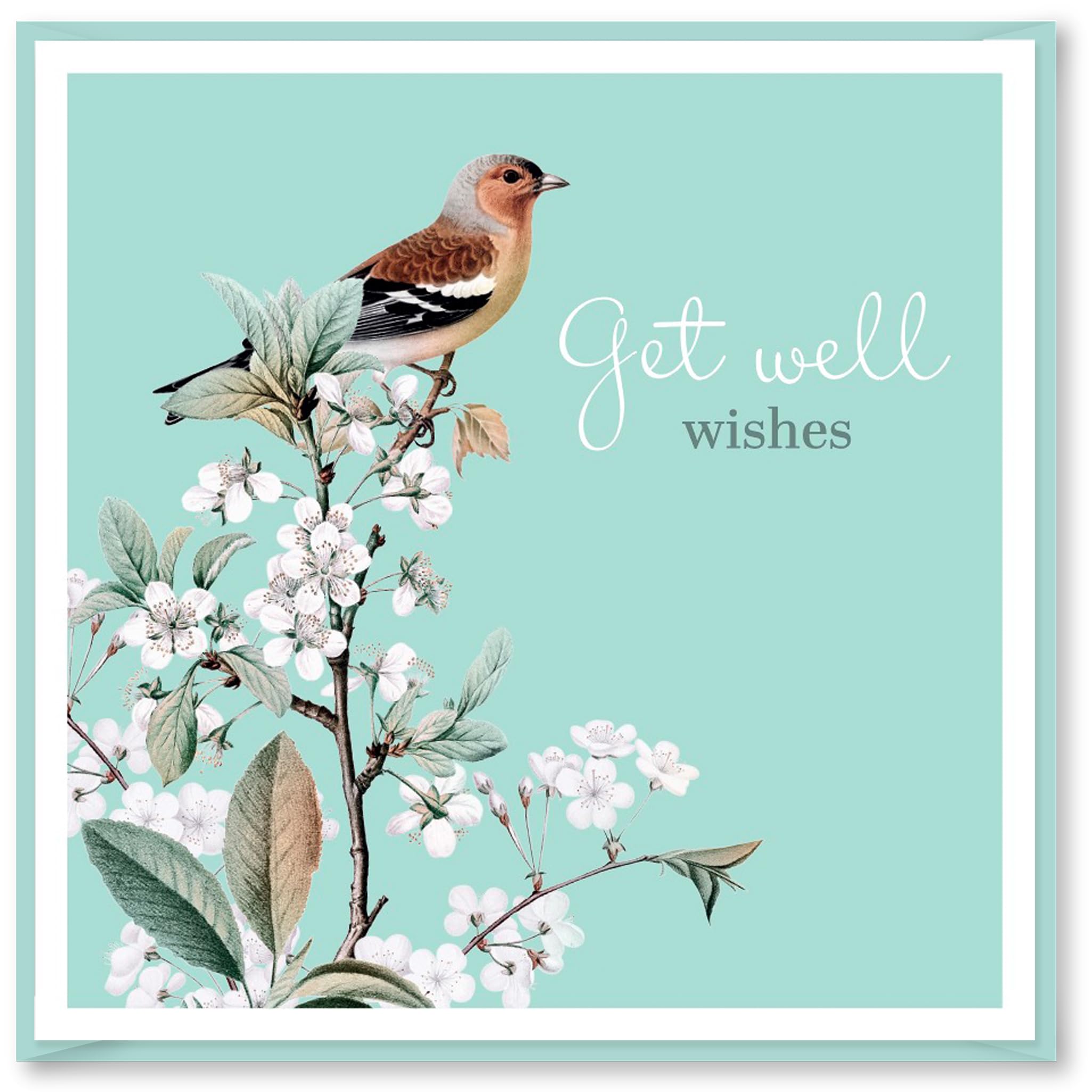 Sympathy Get Well Wishes Get Well & Sympathy – New Wing Studio