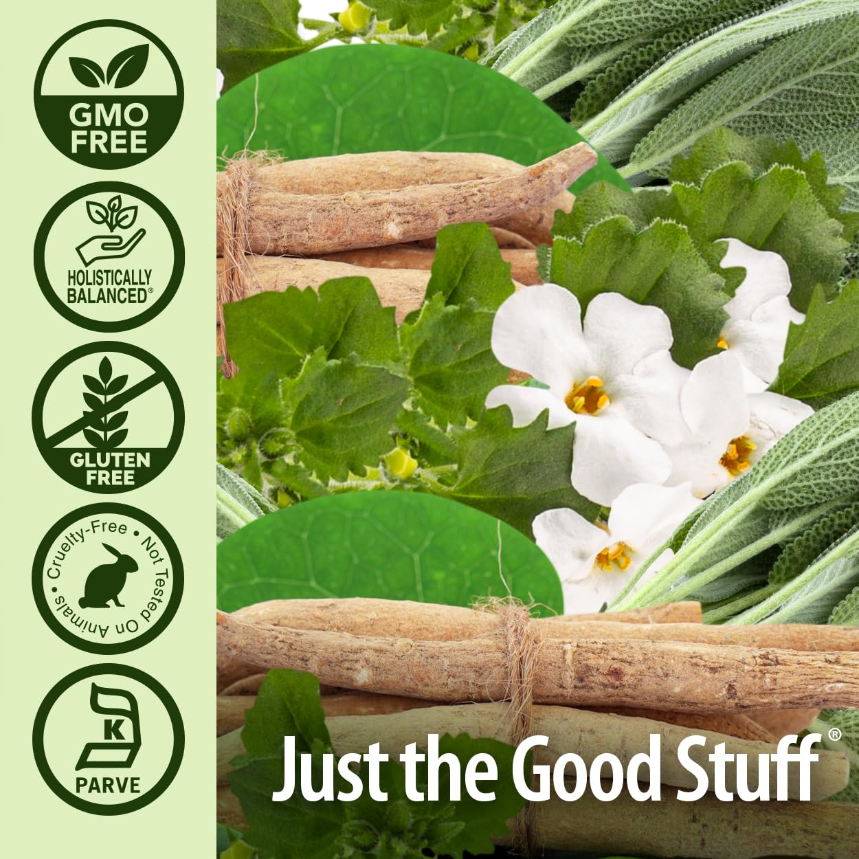 Suplemento Nature’s Answer CogniMax 600g – 60 Cápsulas | Suporte ...