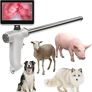 Amazon.com : GEHPYYDS Artificial Insemination AI Gun,Horses/Cattle Artificial Insemination kit ...