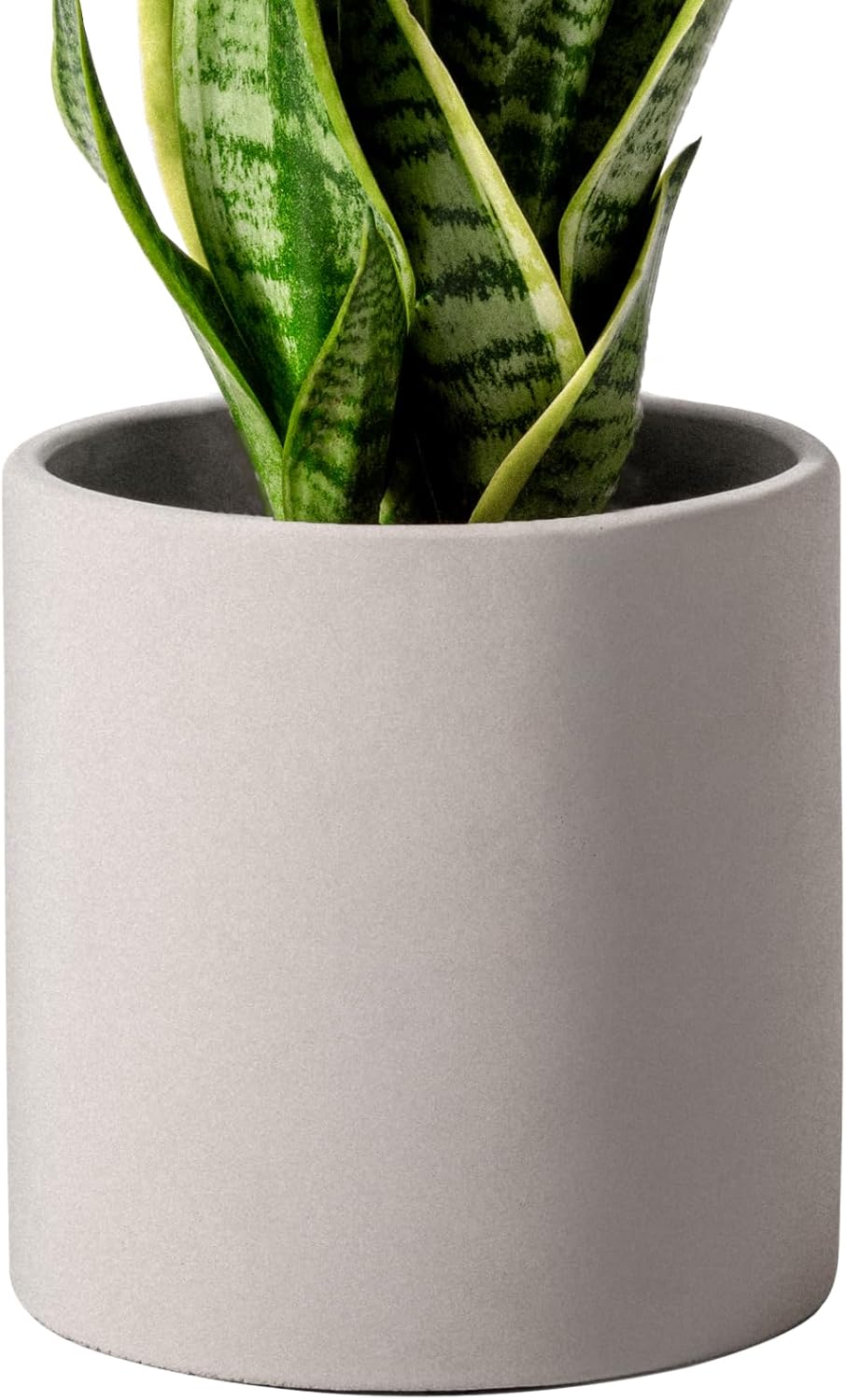 Amazon.com: JJF Plant Pots, 7 Inch Cement Planters for Indoor Plants ...