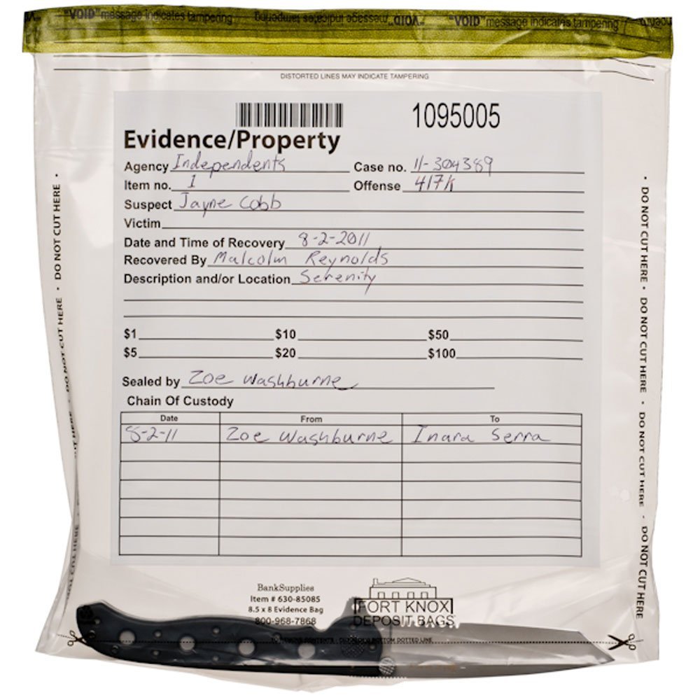 Amazon.com: BankSupplies Clear Evidence Bags | 8.5W x 8H | Pack of 500 ...