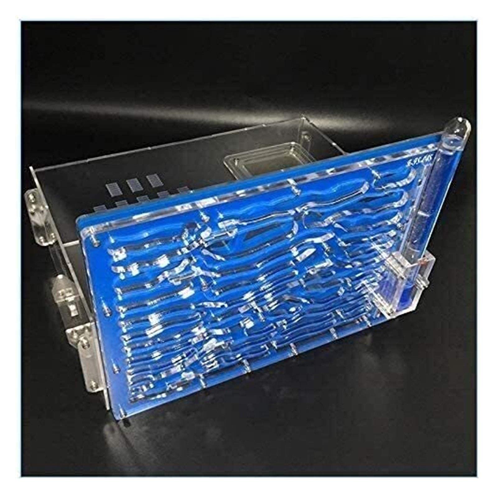 Buy Ant Home for Kids With Feeding Area Castle Ant Tower Ants Hill Live ...