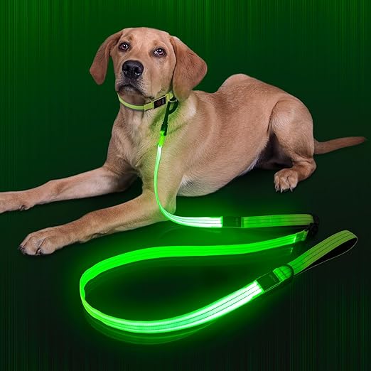 Amazon.com : Dlitk Light Up Dog Leash, LED Leashes Rechargeable, Nylon ...