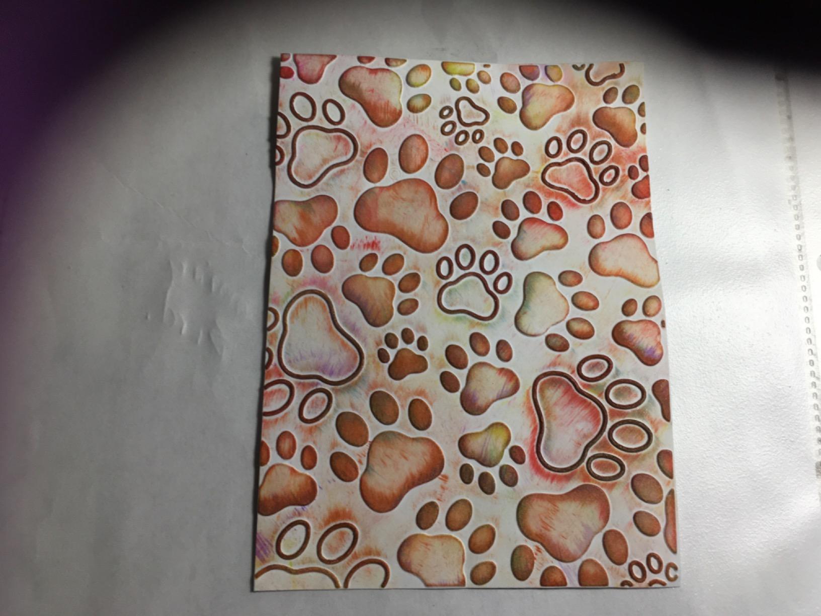 Amazon.com: Darice 1218-03 Paw Print Design Embossing Folder, 4.25 by 5 ...