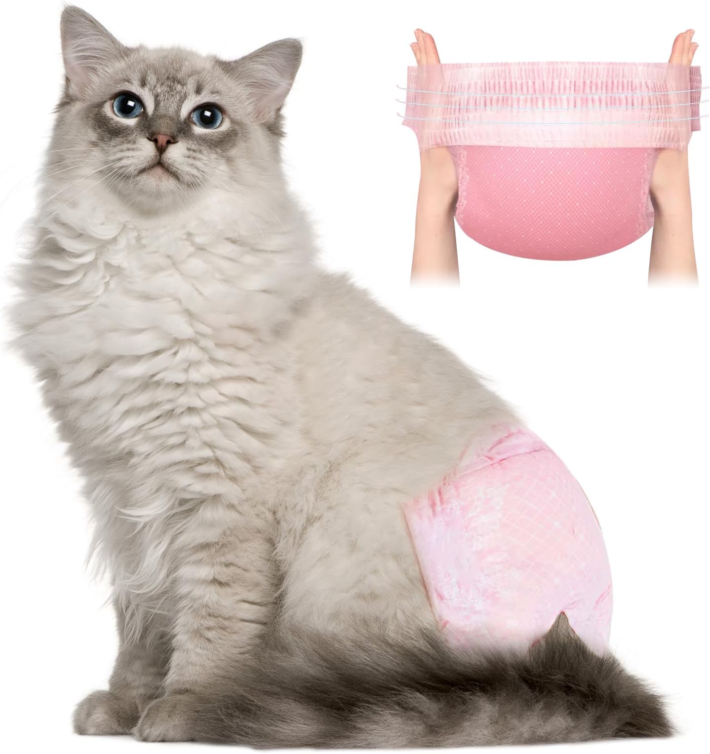 Amazon.com : Kitty Bum Bums Reusable Cat Diapers and Stud Pants to ...