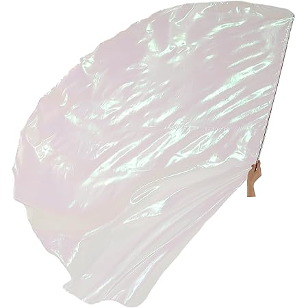 Amazon.com: Wuchieal 55" semicircle Worship Angel Wing Flags ...
