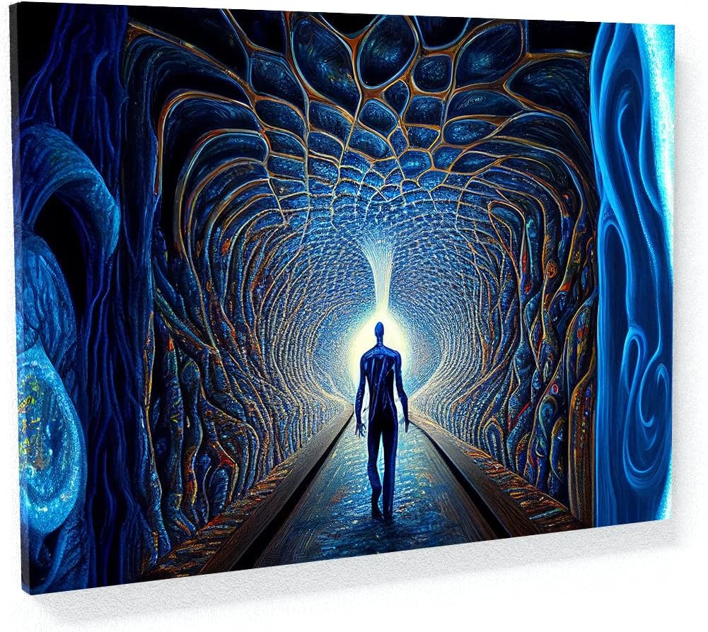 Amazon.com: Sense Canvas Dmt Trippy Entering Dmt Tunnel 74 Canvas Art ...