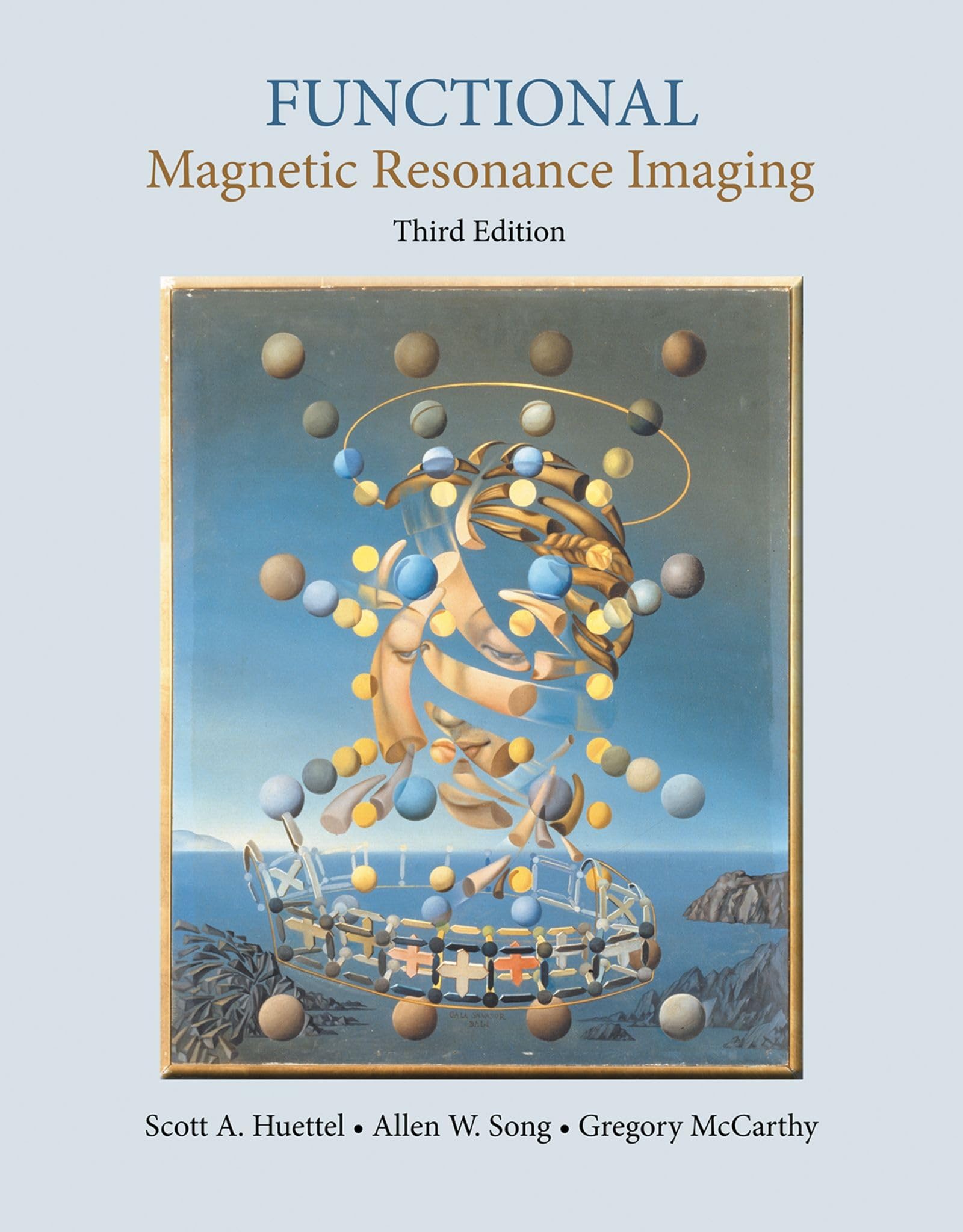 Functional Magnetic Resonance Imaging: 9780878936274: Medicine & Health ...