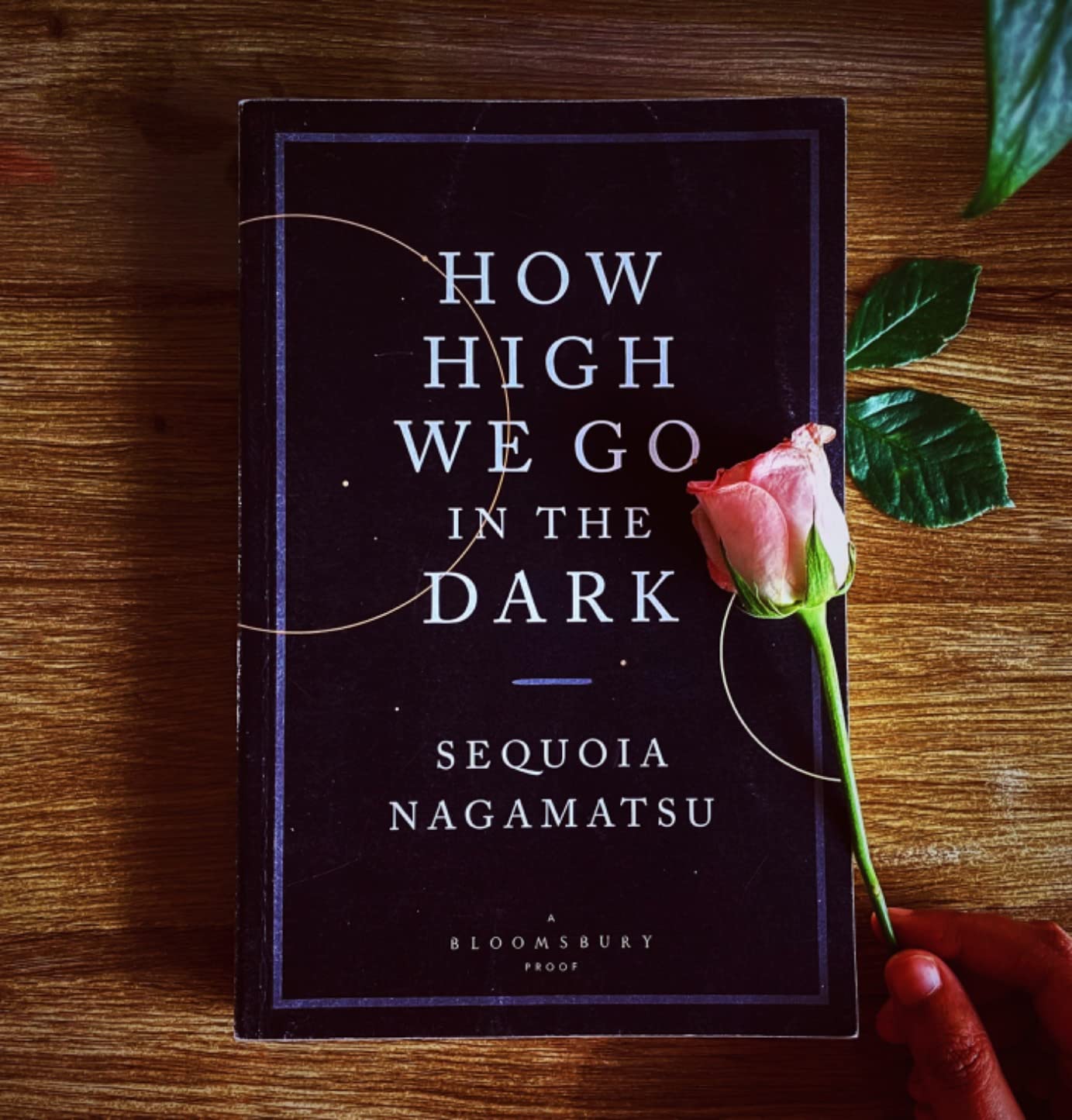 How High We Go in the Dark: A Novel : Nagamatsu, Sequoia: Amazon.in: Books