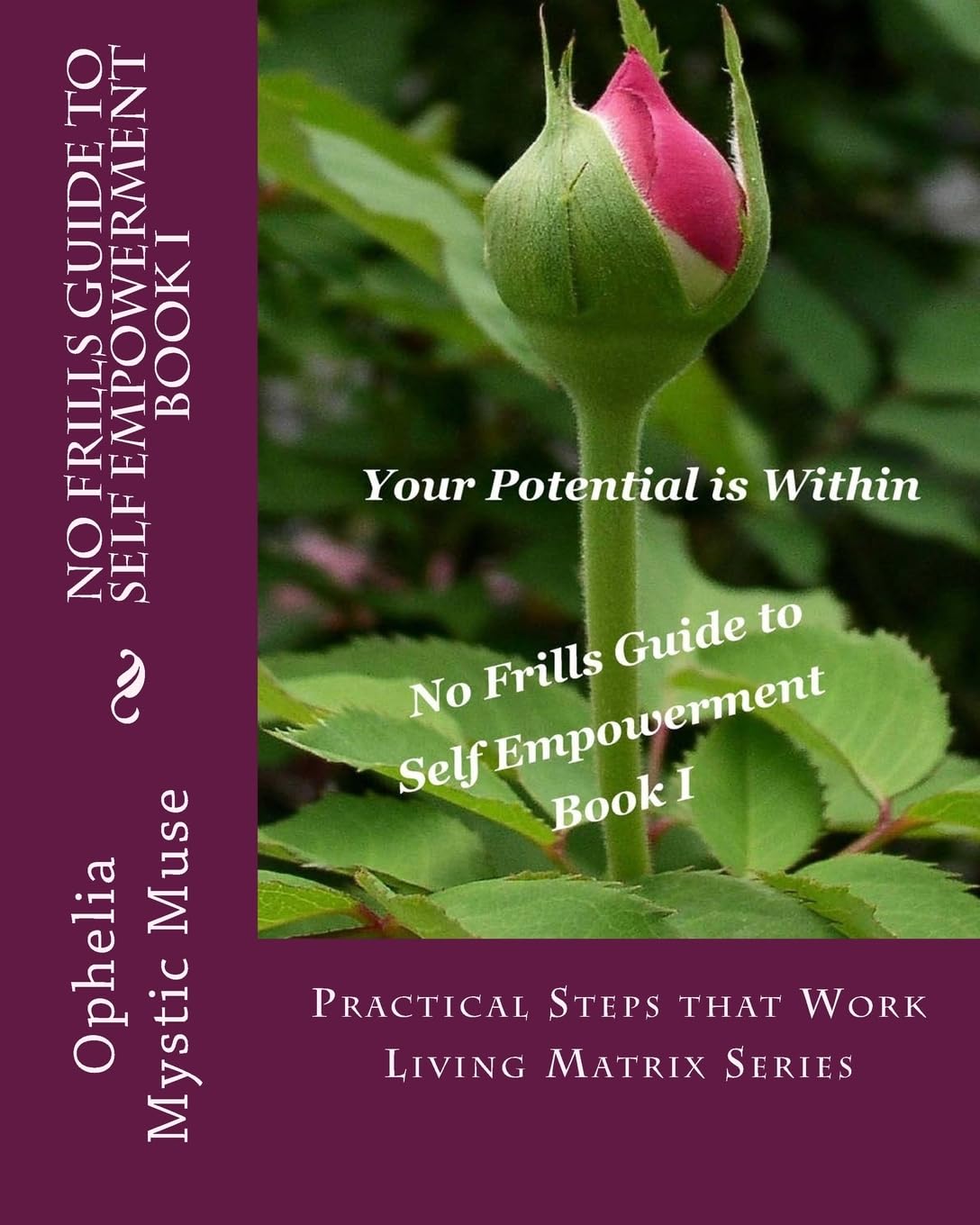 No-Frills Guide to Self Empowerment Book I: Practical Steps that Work ...