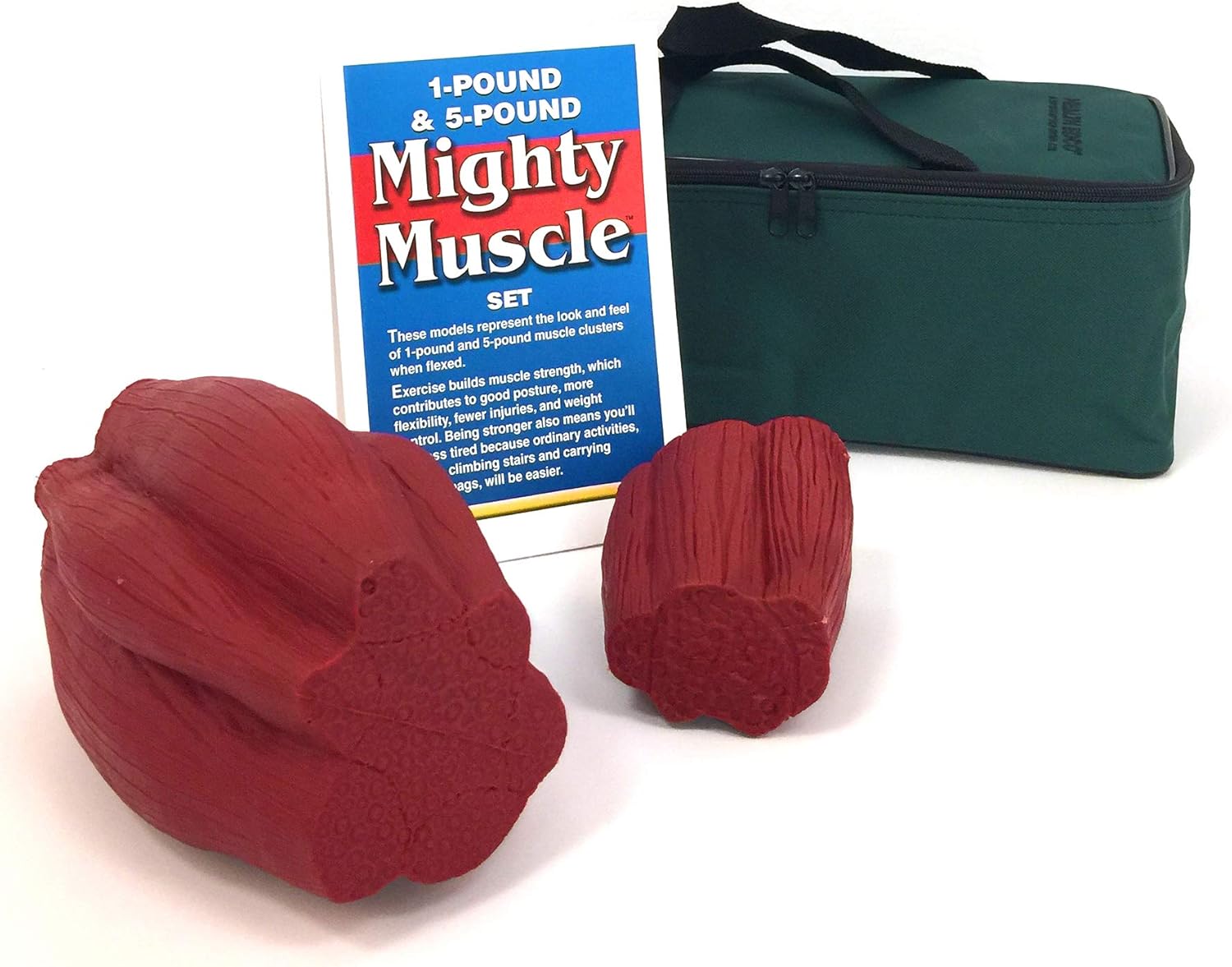 Amazon.com: Mighty Muscle Set 1lb and 5lb : Industrial & Scientific