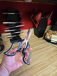 Amazon.com: OTOTO Elizabat Kitchen Scissors - Halloween Goth Cute Bat ...