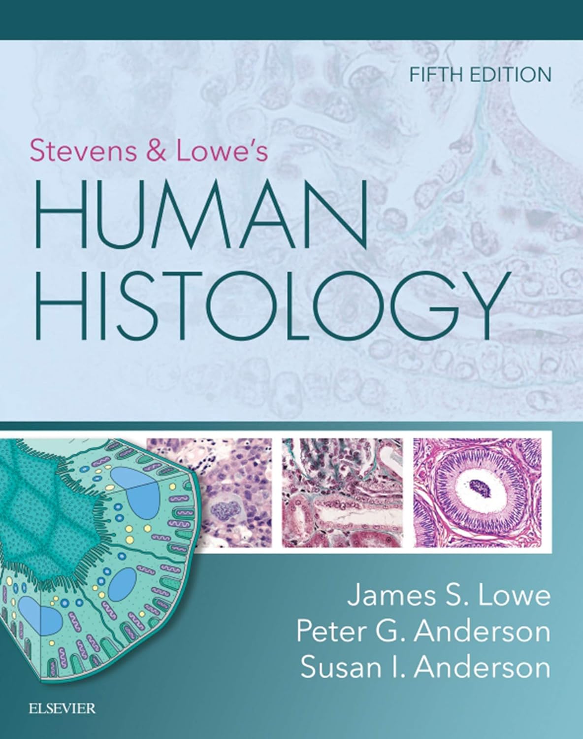 Amazon | Stevens & Lowe's Human Histology - E-Book (English Edition ...