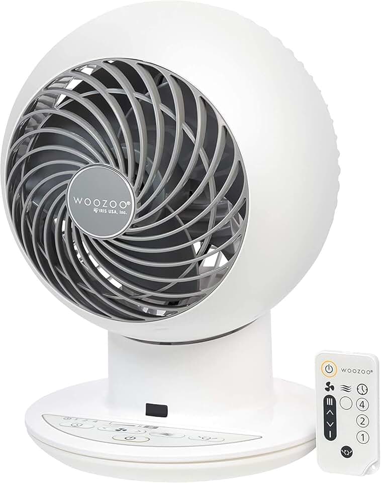 Amazon.ca: Fans