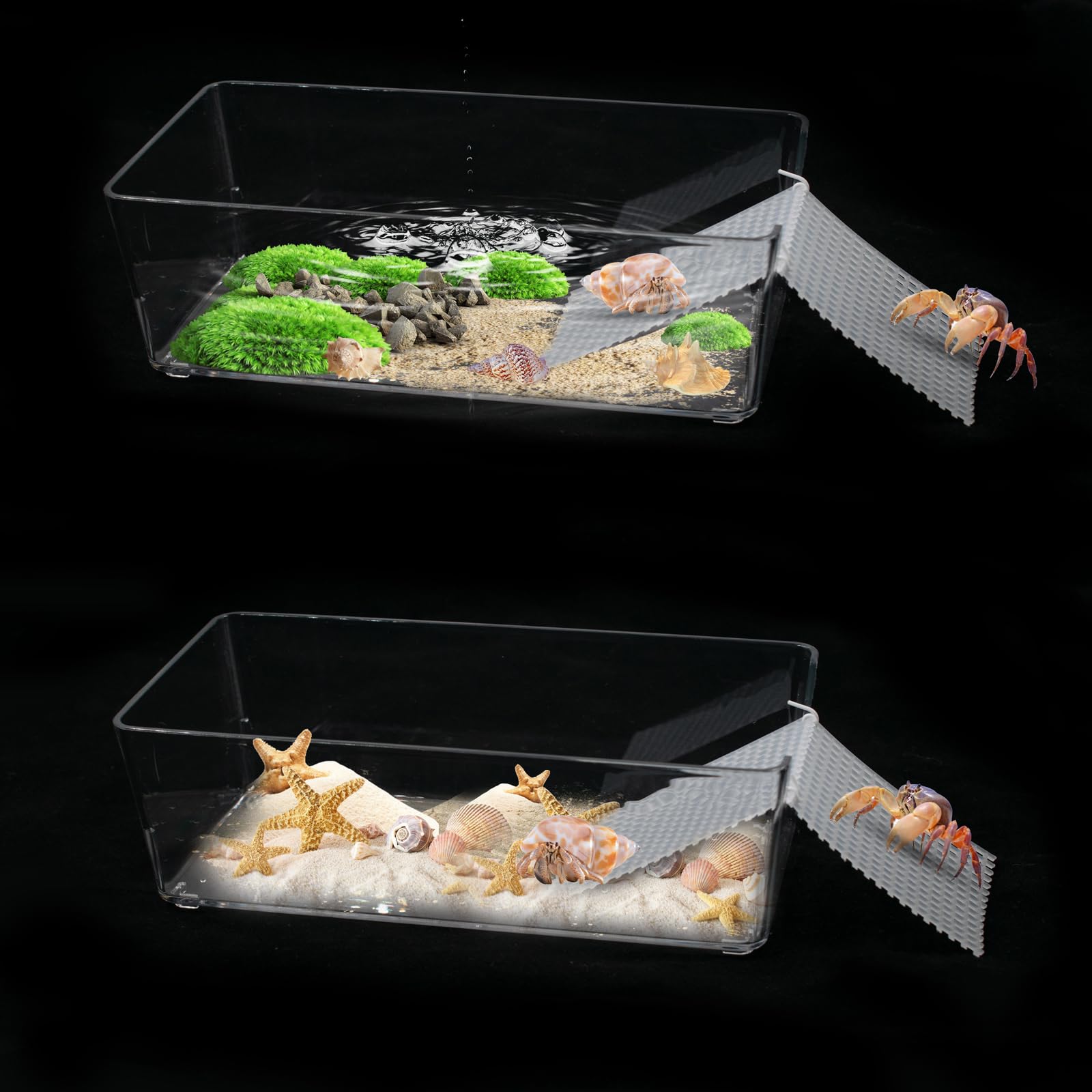Amazon.com : 2 Pack Transparent Hermit Crab Water Tanks with Cuttable ...