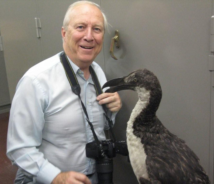 Amazon.co.uk: Pat Morris: books, biography, latest update