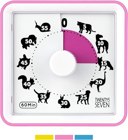 Amazon.com: TWENTY5 SEVEN Countdown Timer 3 inch; 60 Minute 1 Hour ...