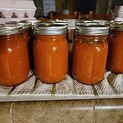 Amazon.com : Mrs. Wages Ketchup Mix Easy-To-Use Enhance Your Tomatoes ...