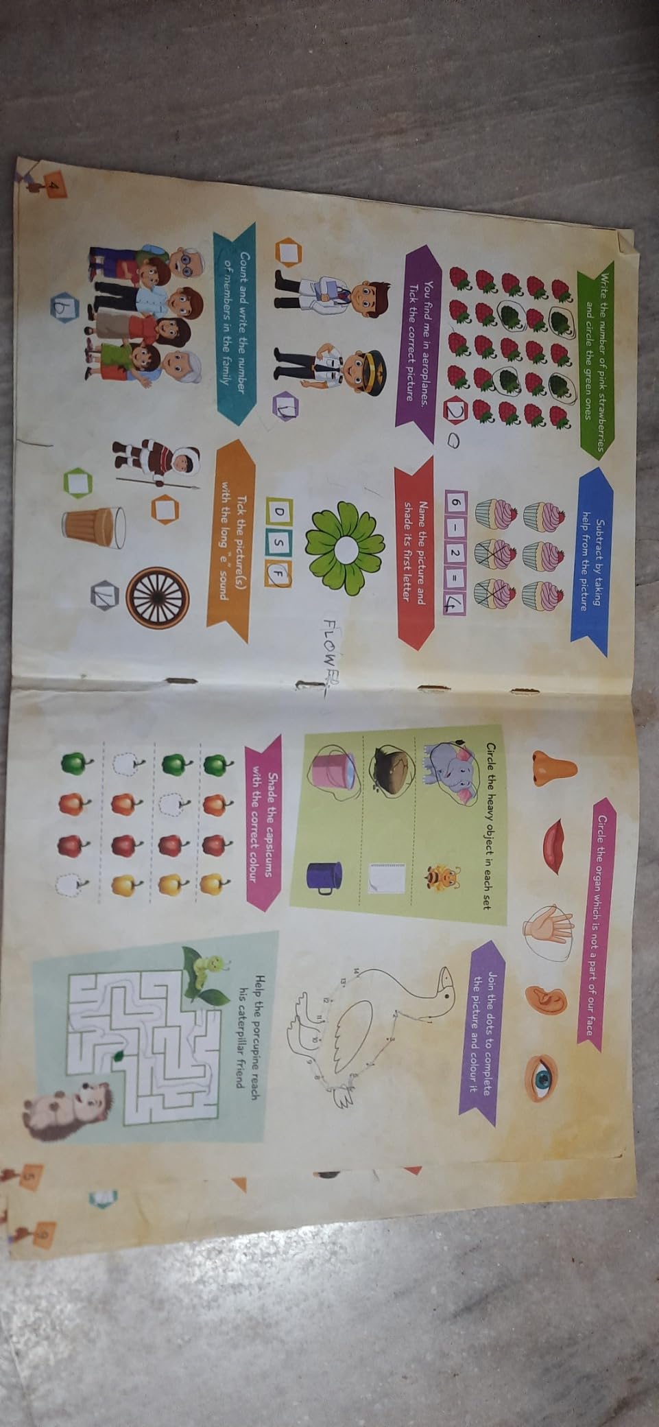 Buy Brain Activity Book for Kids - 1001+ Activities for Kids - Enhance ...