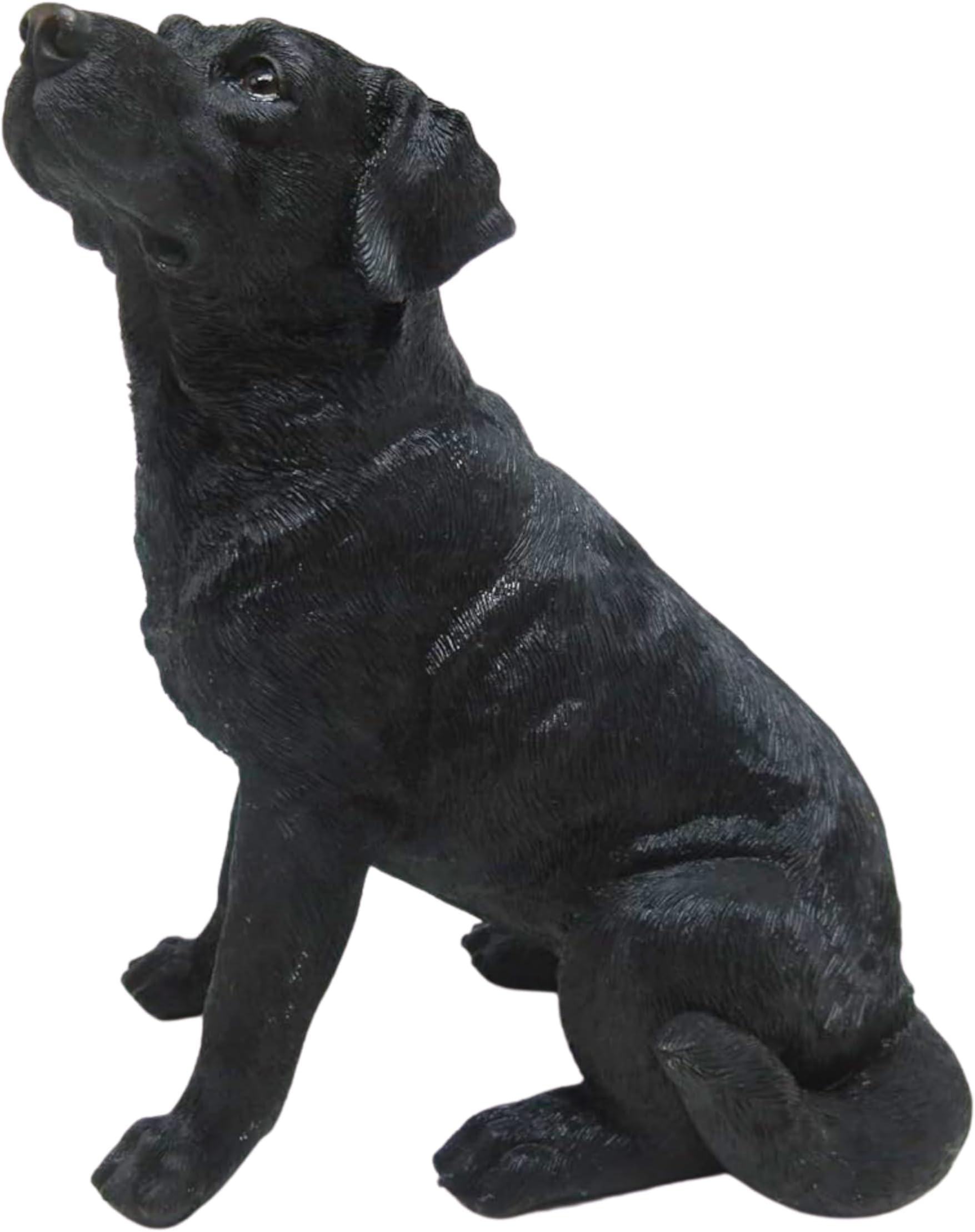 Vivid Arts | Real Life Black Labrador | Resin Home or Garden Decoration ...