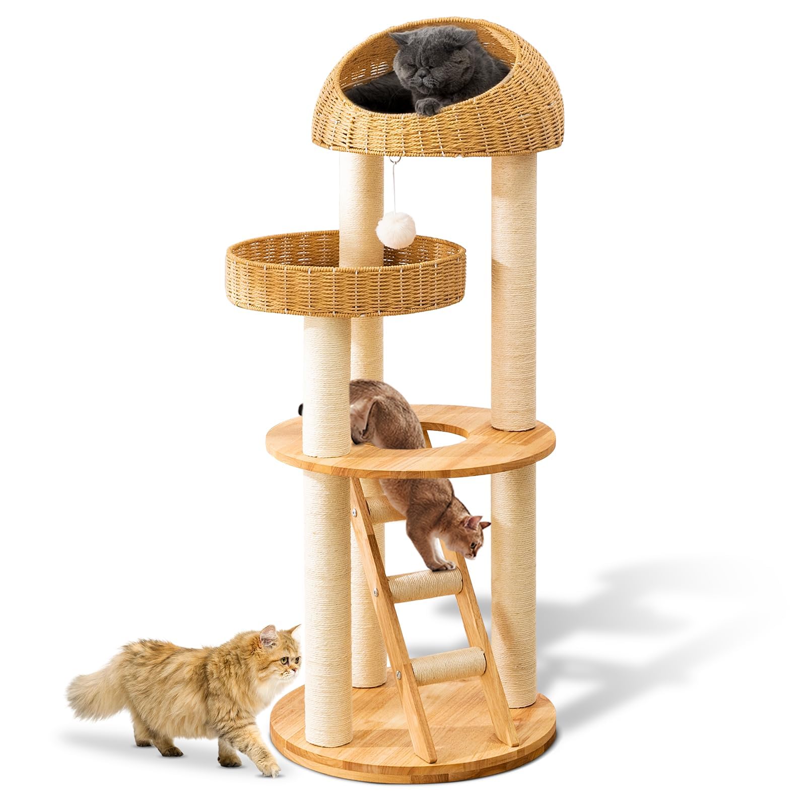 Amazon.com : Big Modern Design Cat Tree Tower, Cat Tower Sisal-Covered ...