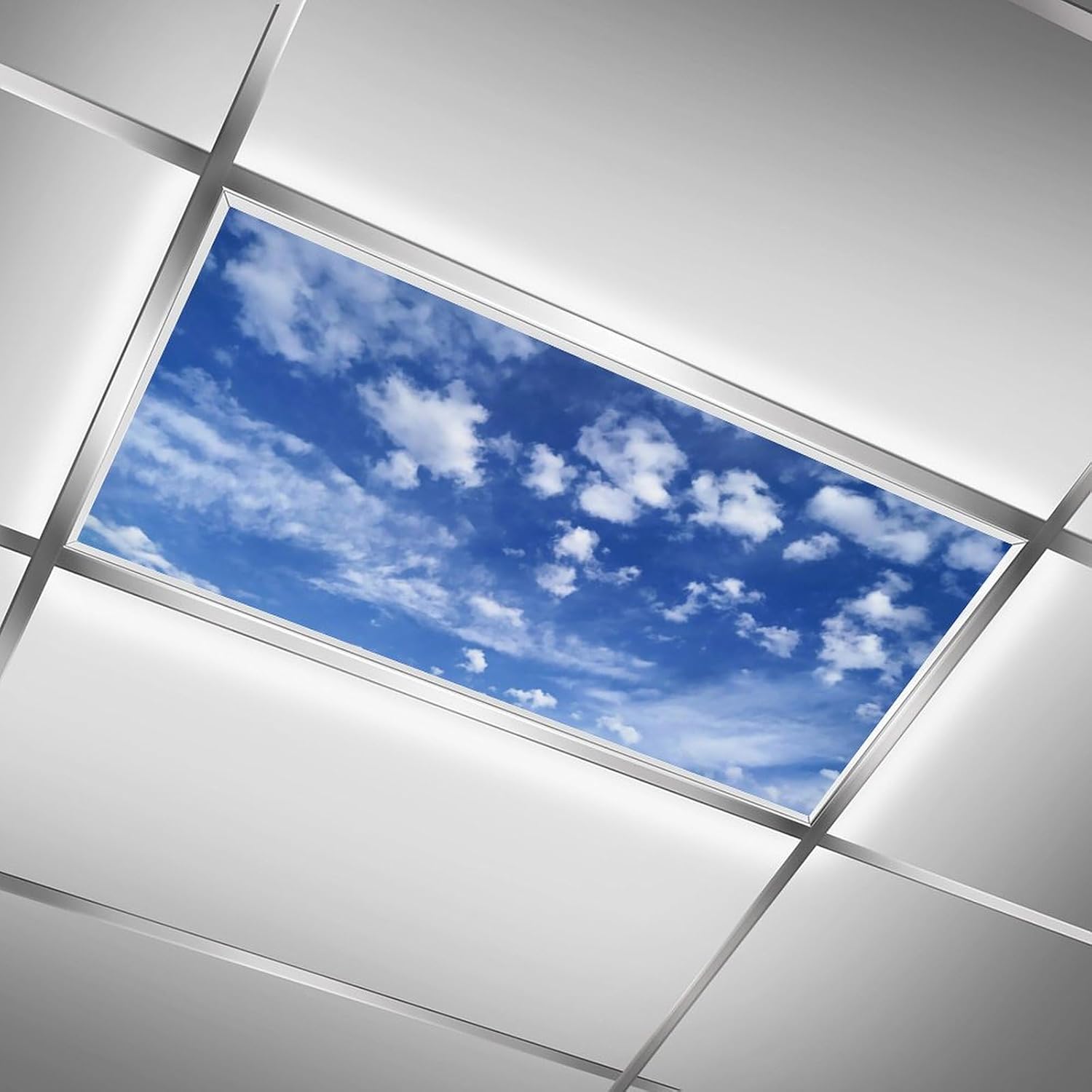 2 Pack Fluorescent Light Cover for Ceiling Light -Sky Flowers Magnetic ...