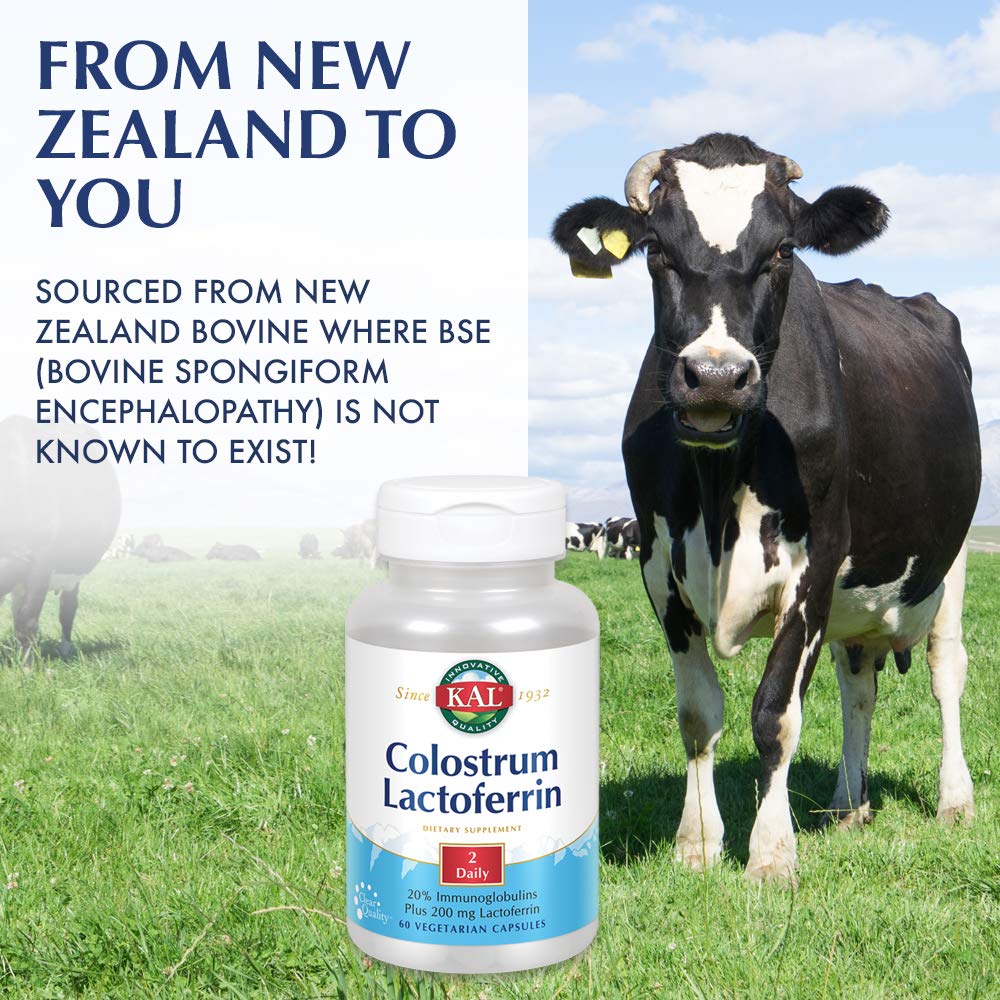 Snapklik.com : Colostrum Lactoferrin, 20% Immunoglobulins Lactoferrin ...