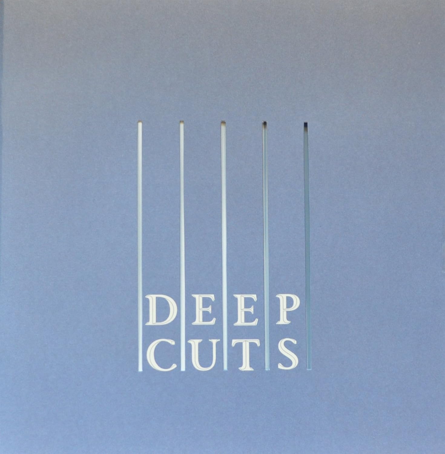 Deep Cuts: Contemporary Paper Cutting: Samantha Cataldo: 9780929710426 ...