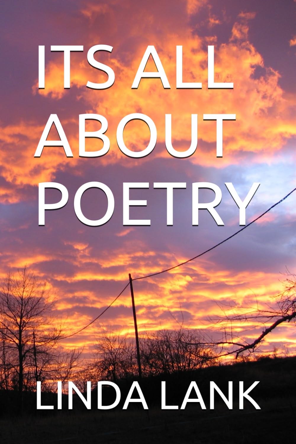ITS ALL ABOUT POETRY: LANK, LINDA J: 9798300558796: Amazon.com: Books