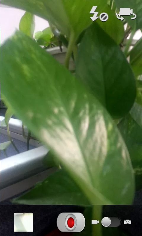 Looq - Application sur Amazon Appstore