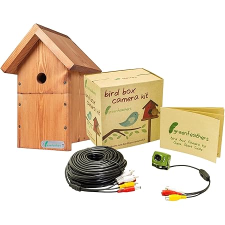 Green Feathers Wireless Bird Box SD 700TVL Camera with Night Vision ...