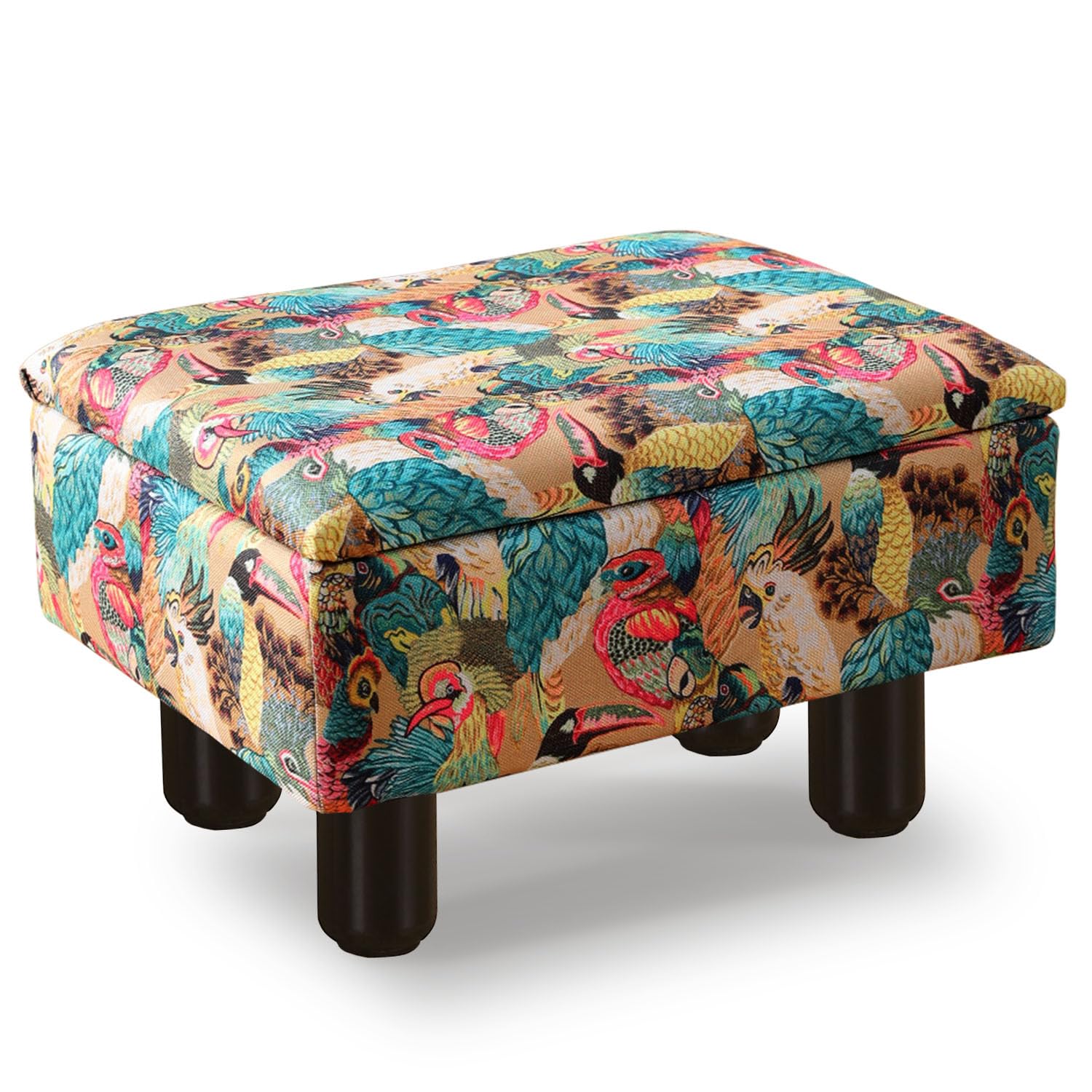 Amazon.com: Mxfurhawa Ottoman Foot Stool with Storage Modern Small Foot ...