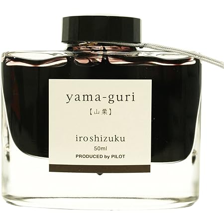 Amazon.com : Pilot Iroshizuku Fountain Pen Ink - 50 ml Bottle - Fuyu ...