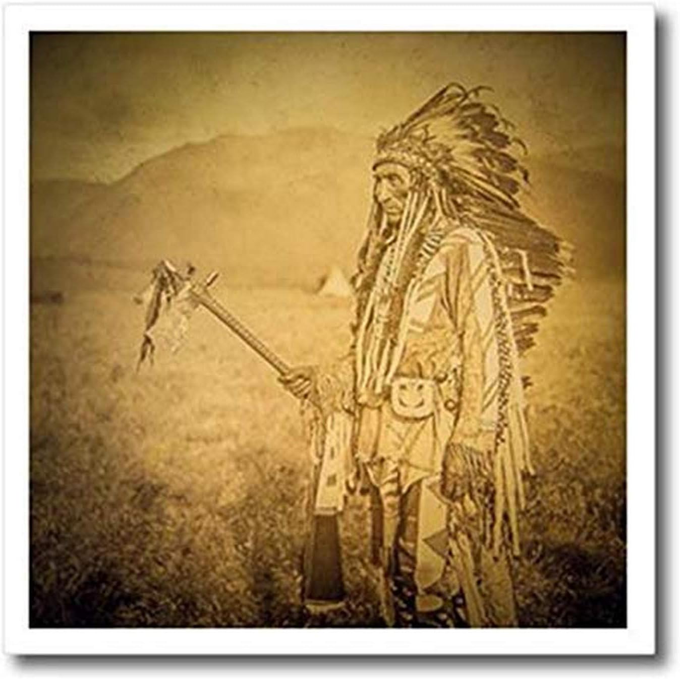 Amazon.com: 3D Rose Stereo View Native American Indian Joe La Moose in ...