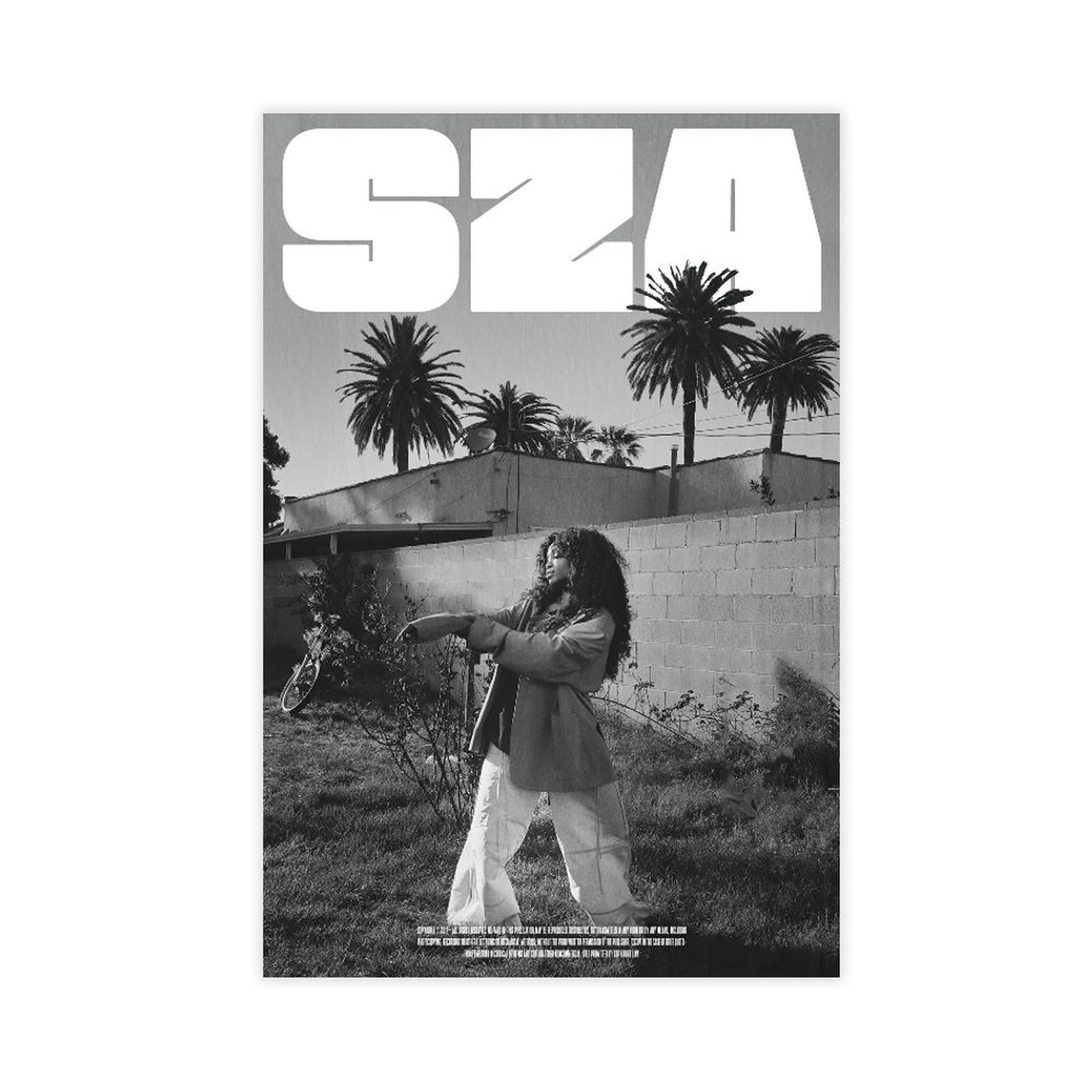 Amazon.com: TVNUWOZ SZA Poster Singer Music Canvas Poster 12x18inch ...