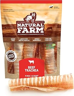 Understanding The Function Of The Trachea: How Does It Contribute To ...