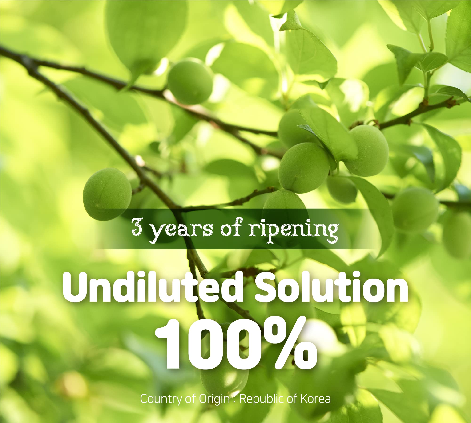 Snapklik.com : Pure Korean Handmade 3-Year Aged Plum Extract Syrup 500ml