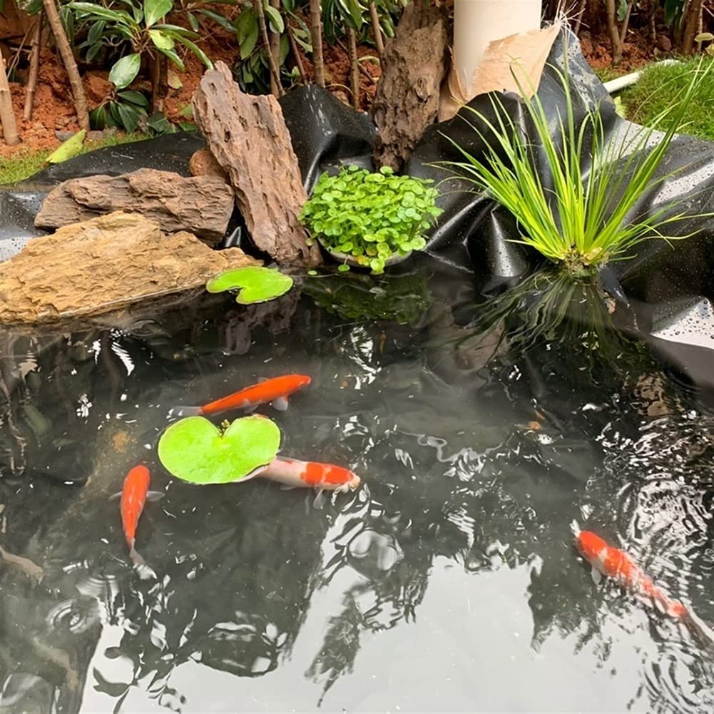 Estructura De Estanque Artificial Guía De Cómo Crear Un Estanque