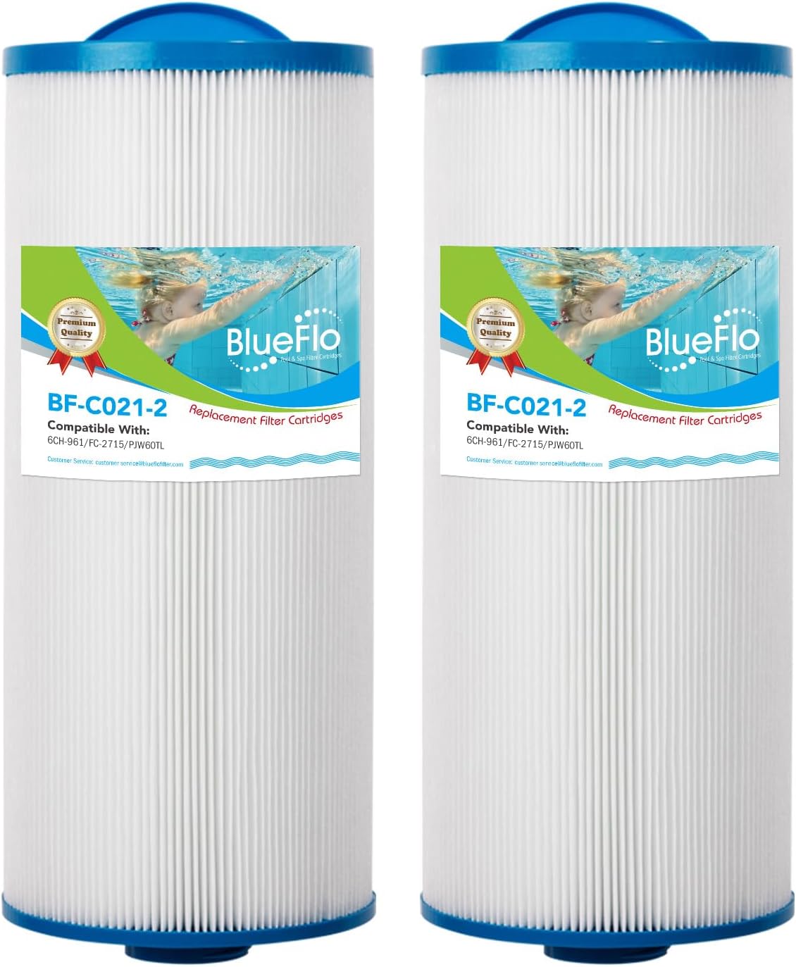 Amazon.com : HANXER PJW60TL-OT-F2S Spa Filter Cartridge Replaces for ...