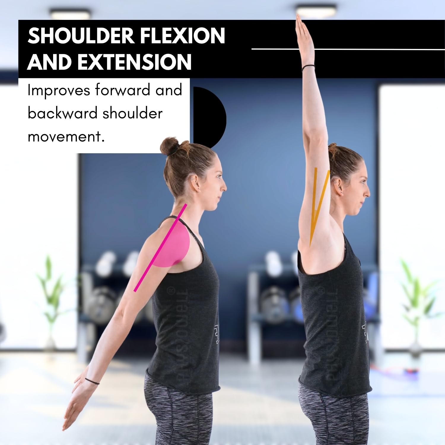 Shoulder Flexion And Extension Exercises 3d Medical Figure Showing