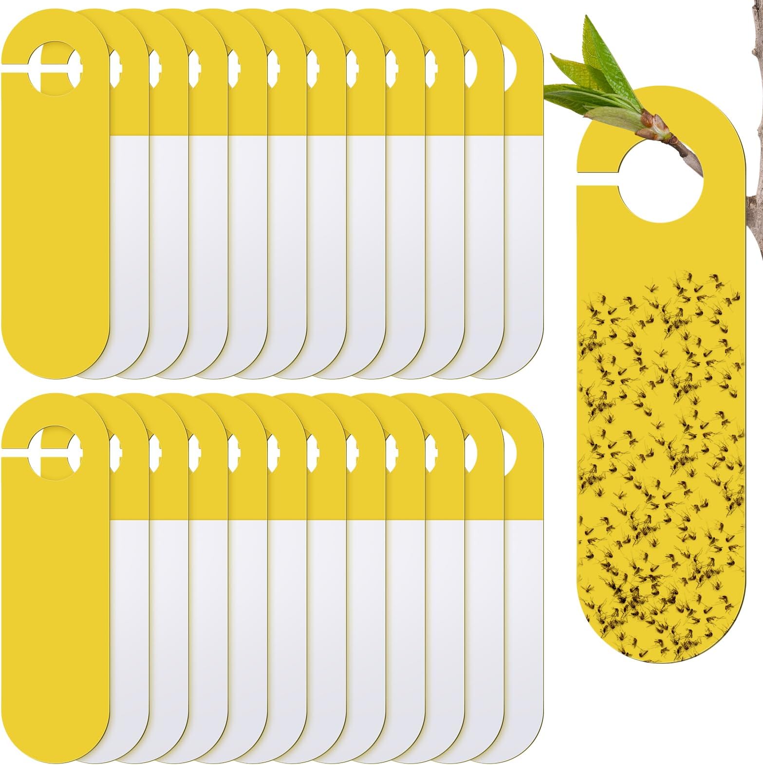 Amazon.com : MaxGuard (30 Pack) Yellow Sticky Hanging Traps - Catch and ...