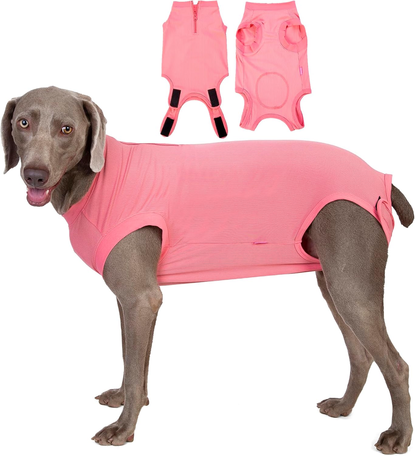Amazon.com : Wabdhaly Dog Surgery Recovery Suit,Large Suit for Female ...