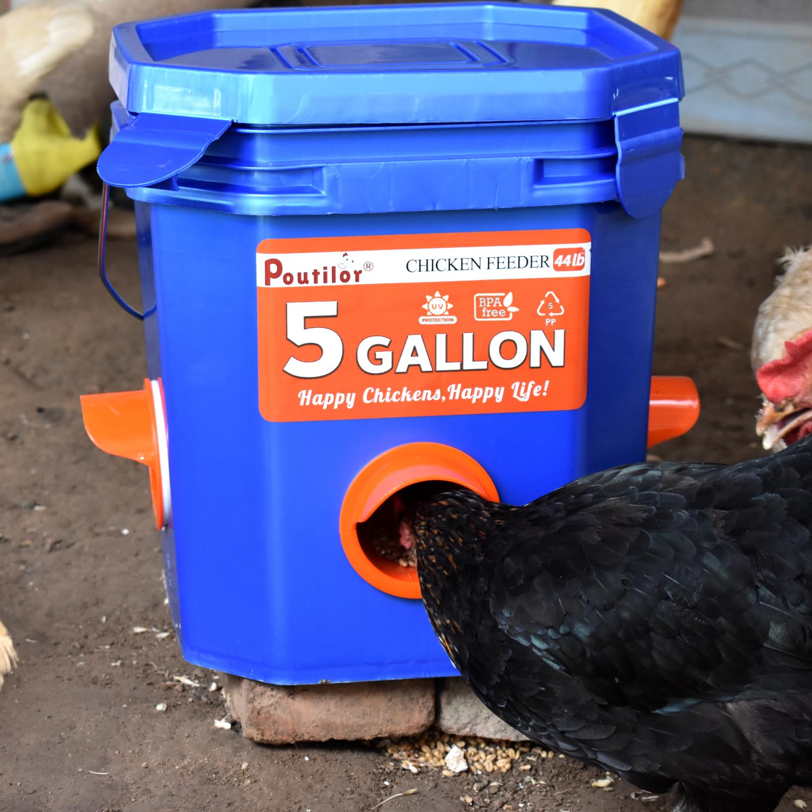 5 Gallon Bucket Chicken Plucker