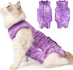 Cat Recovery Suit for Male and Female Surgical Post Surgery Soft Cone ...