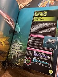 Super Shark Encyclopedia: And Other Creatures of the Deep (DK Super ...