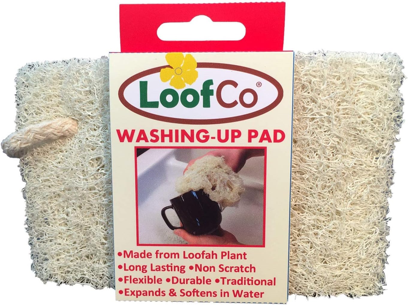 Afwas spons Loofco 1 stuk : Amazon.de: Kosmetik