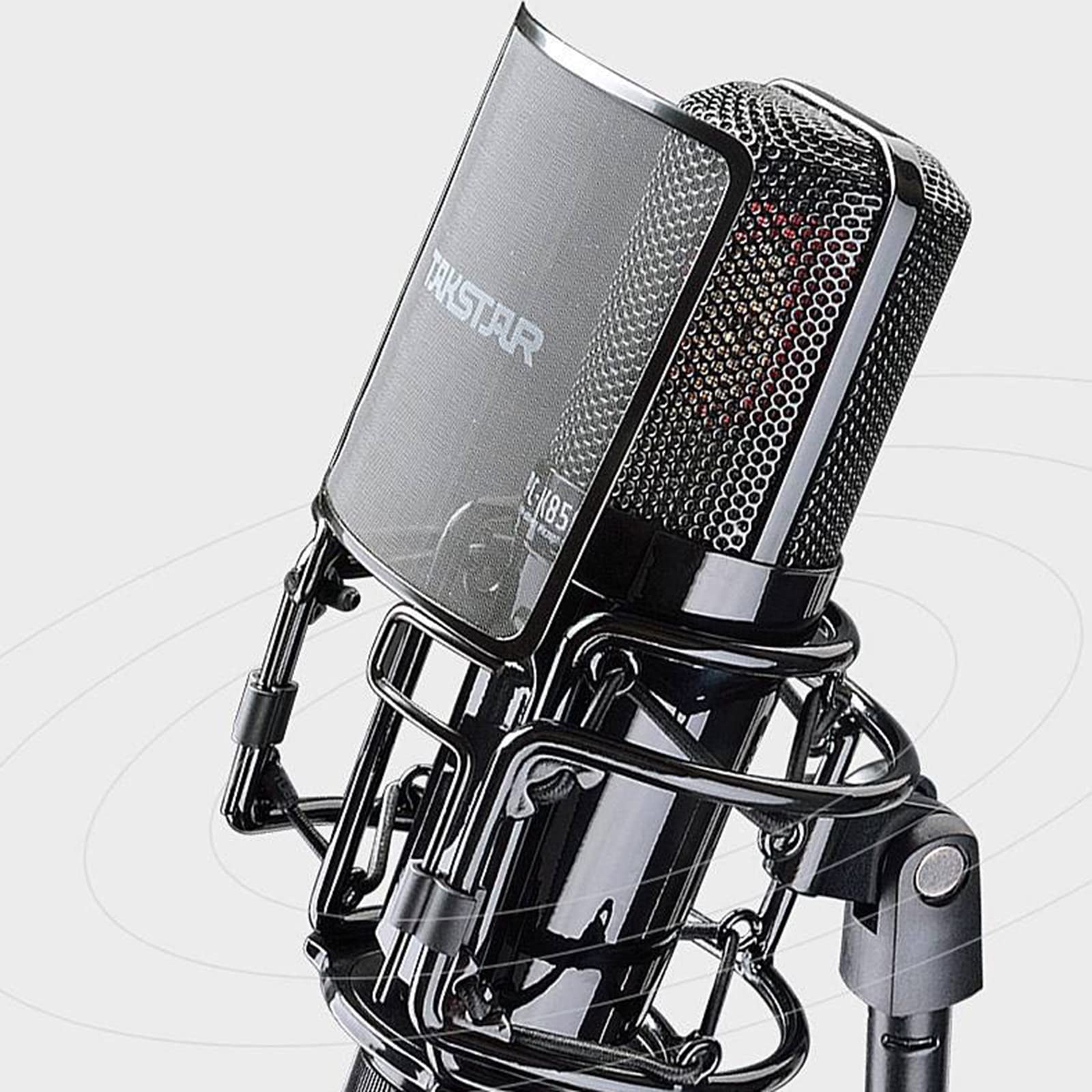 TAKSTAR Professional Studio Recording Microphone Large Capsule ...