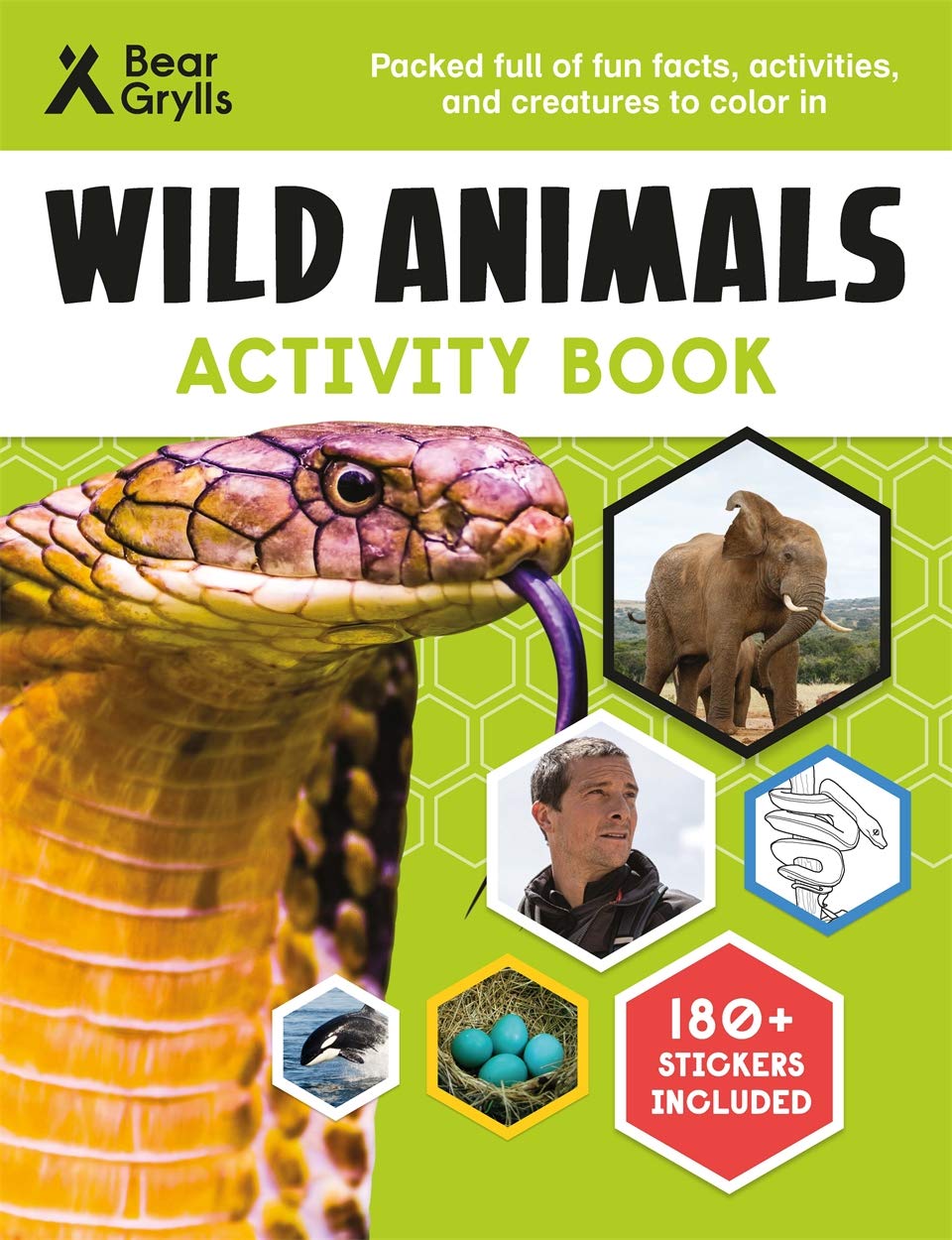 Bear Grylls Wild Animals Activity Book: Grylls, Bear: 9781787415812 ...
